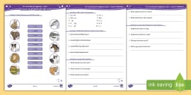 ESL Beginners Lesson 2: ESL Questions About Age Presentation