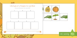 Life Cycle of an Apple Cut and Paste Activity