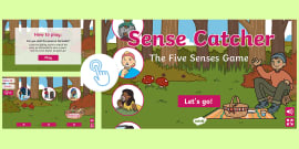 What are Sense Verbs? | Twinkl Teaching Wiki - Twinkl