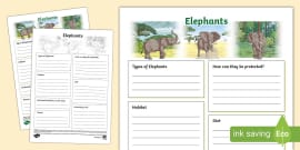 Elephant Fact File Template,elephants (teacher made)