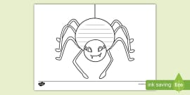 Tarantula Information for kids - Twinkl Explains - Twinkl