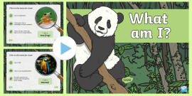 Jungle Animals 'What's Through the Binoculars?' PowerPoint Game
