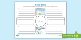Polar Bears Songs and Rhymes Pack (teacher made)