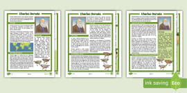 UKS2 Georgia O'Keeffe Differentiated Reading Comprehension Activity