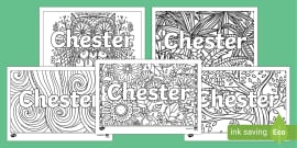 FREE! - Chester Name Simple Colouring Activity Sheet