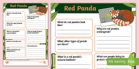 Describe the Red Panda Writing Worksheet, Red Panda - Twinkl