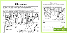 Hibernation Colouring Pages (teacher made) - Twinkl