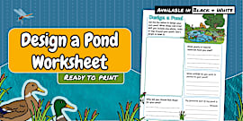 EYFS Pond Life Information PowerPoint