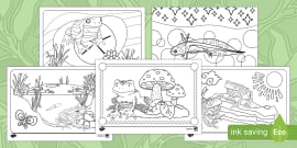 2D Shape Frog Cutting Skills Worksheets (teacher made)