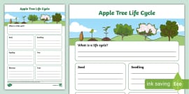 Life Cycle of an Oak Tree Fact File Template (teacher made)
