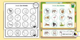 Zoo Animal Matching Game Printable Resource | Twinkl USA