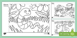 Life Cycle of an Earthworm Display Poster