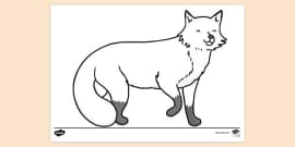 2D Shape Fox Cutting Skills Worksheets (teacher made)