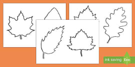 👉 Fall Leaves Cut Outs (teacher made) - Twinkl