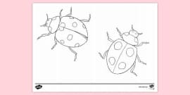 👉 1-20 Ladybird Dot-to-Dot Activity | Colouring Maths