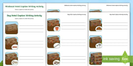 Minibeasts Caption Writing Activity (Teacher-Made) - Twinkl