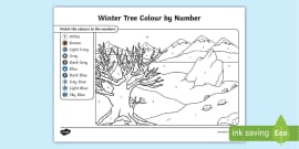 FREE! - Autumn Tree Colour By Number (teacher made) - Twinkl