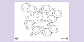 Bacteria Cell Colouring | Colouring Sheets (teacher made)