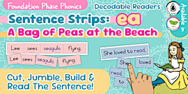 FP Phonics - sh Decodable Readers - Sentence Strips