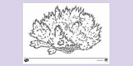 FREE! - Burning Bush Colouring | Colouring Sheet - Twinkl