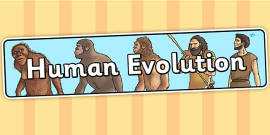 Timeline of Human Evolution | History & Science Wiki