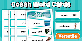 Colorful Ocean Animals Photos Flash Cards | Twinkl USA