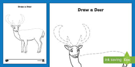 EYFS Draw an Owl Pencil Control Activity (teacher made)