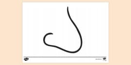 Nose Colouring | Colouring Sheets (teacher made) - Twinkl