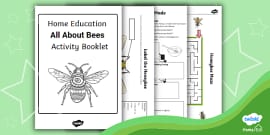 Bee Activity to Support the Teaching of Just One Bee