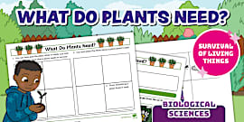 Plants Need Worksheet | Plants | Twinkl Resources