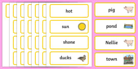 Pond Life Word Cards (teacher made) - Twinkl