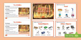 Wildfires KS2 PowerPoint - Natural Disasters (teacher made)