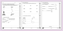 Year 1 Reading Assessment | Twinkl (Teacher-Made) - Twinkl