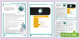 Planets and Solar System Reading Comprehension Worksheets