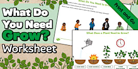 What Plants Need to Grow PowerPoint