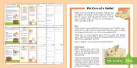 KS1 How to Look After a Rabbit Differentiated Reading Comprehension ...