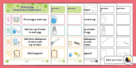 Walking Rainbow Visual Science Experiment (teacher made)
