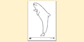 Angry Mahuika Colouring | Colouring Sheets (teacher made)