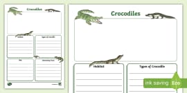 KS1 Crocodiles Fact File (teacher made) - Twinkl