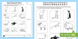 *Chinese with Pinyin Animal Habitat Worksheet* - Twinkl