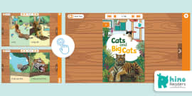 Level 2c Reading Scheme Book: Lots of Fun (teacher made)