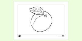 Cuboid Colouring Page | Colouring Pages (Teacher-Made)