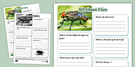 KS1 Snakes Fact File Template - Twinkl Writing - Twinkl