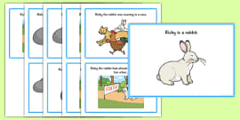 Initial s Sound Story - Story with S Words - KS1 Resources