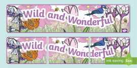 Birdwatching Sign (teacher made) - Twinkl