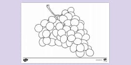 FREE! - The Fox and the Grapes Colouring Sheet - Primary Resources