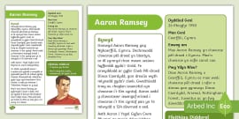 Ffeil Ffeithiau Hedd Wyn (teacher made) - Twinkl