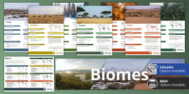 Tundra Biome PowerPoint & Google Slides (teacher made)