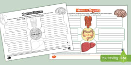 Human Rights Day Mind Map, Human Rights Day (teacher made)