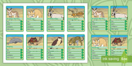 Animal Predators Top Trumps Printable Card Game - Twinkl